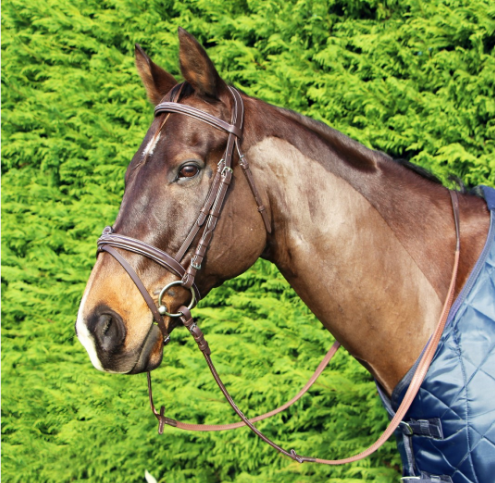 Saddlery – Equine Elegance NZ