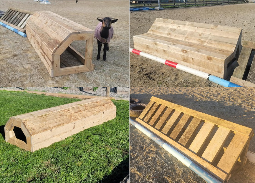 Jumps – Equine Elegance NZ